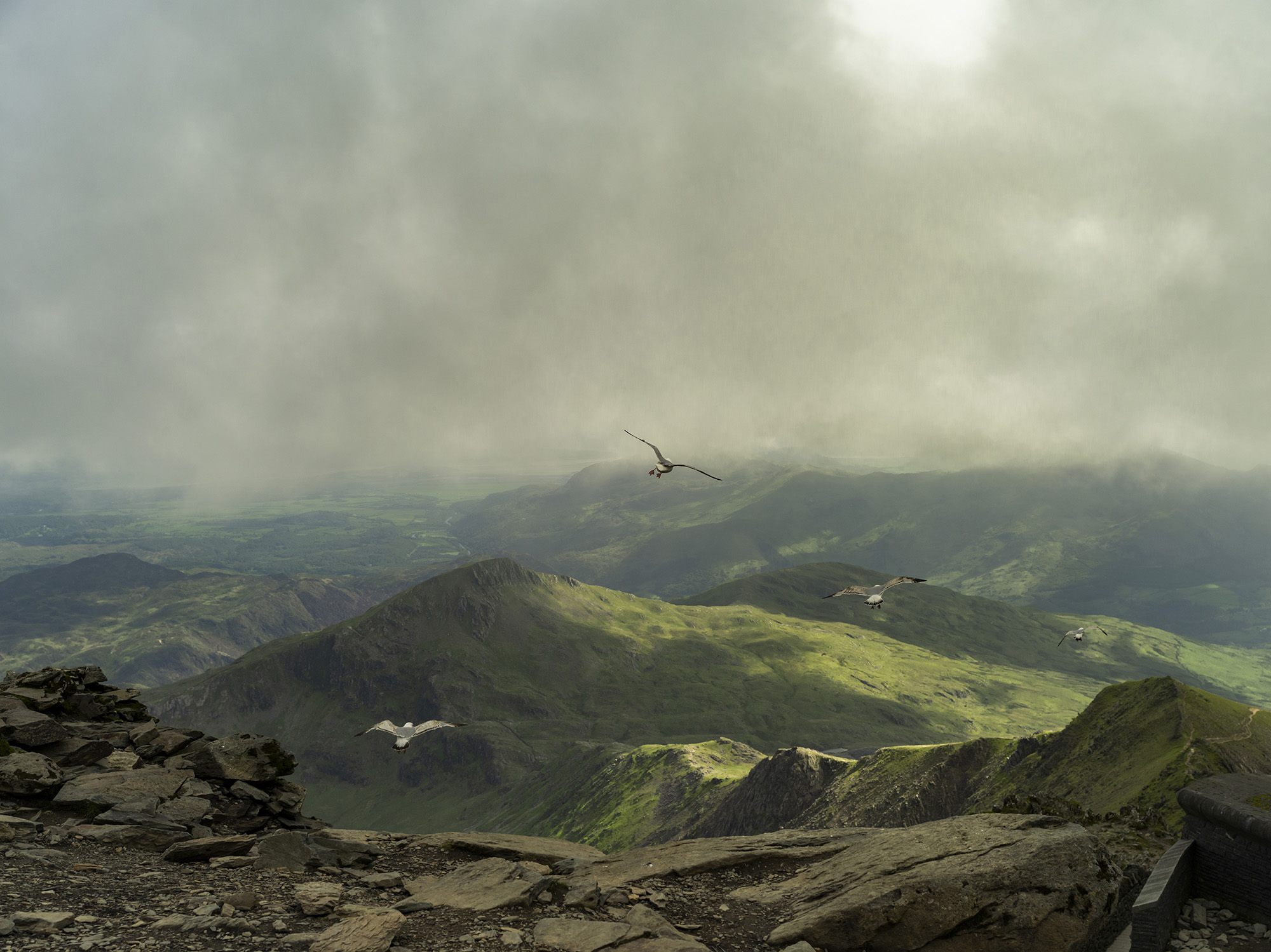 Photography: NFTS Next Big Genre | UNCTONAMINATED | News